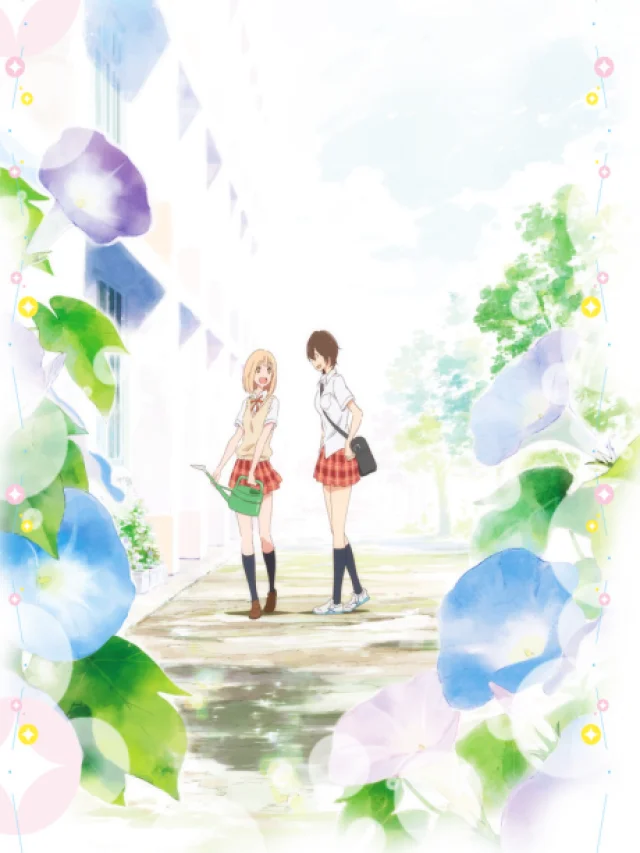 Kimi no Hikari: Asagao to Kase-san. (Morning Glory and Kase-san) - 2017 ...